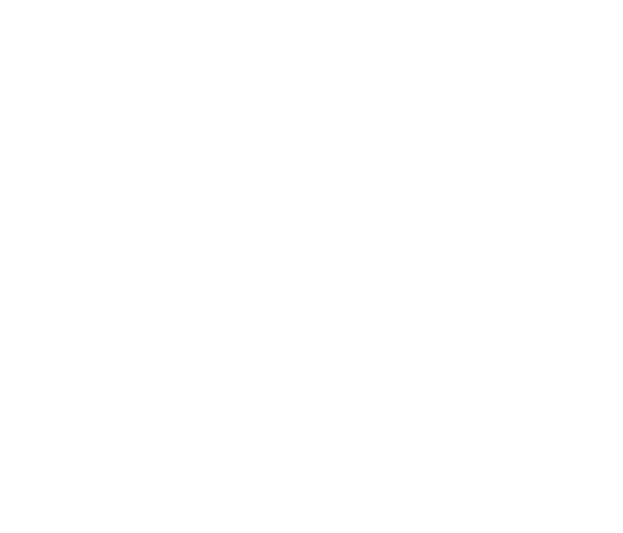 Grünbelagentferner 10-fach-Konzentrat | Bei FURTH CHEMIE kaufen, 8,95